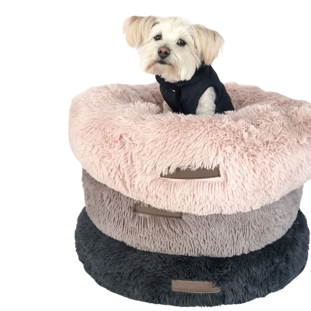 Dog Beds | Locally Made Dog Beds | Durable & Comfy Dog Beds – Simply Spoilt