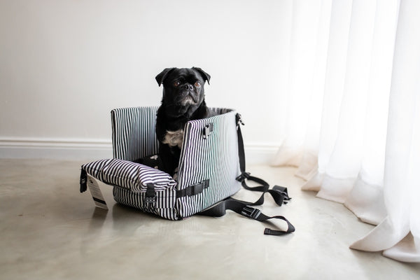 Dog Car Seat | Travel With Your Dog in Style – Simply Spoilt
